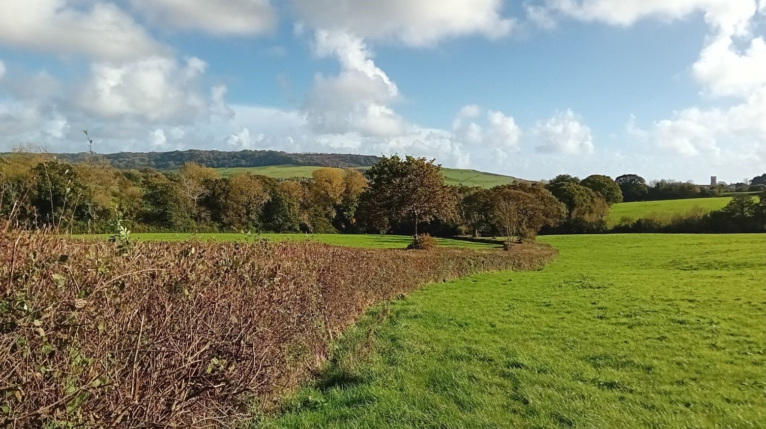 Hedgerows - Little Green Change Ltd